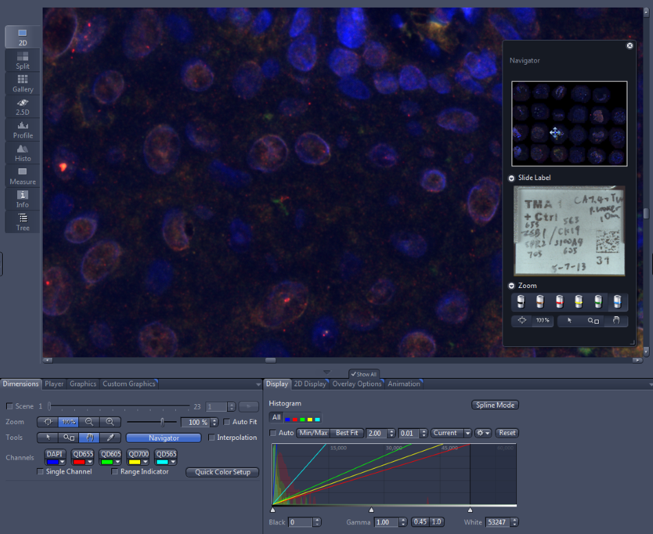libCZI: libCZI Documentation